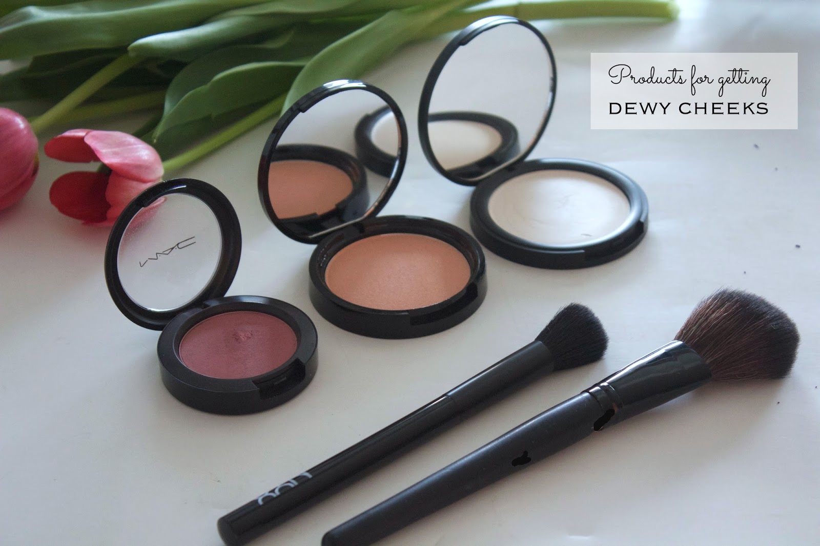 GETTING CHEEKY - HOW TO GET DEWY CHEEKS - Myriad Musings